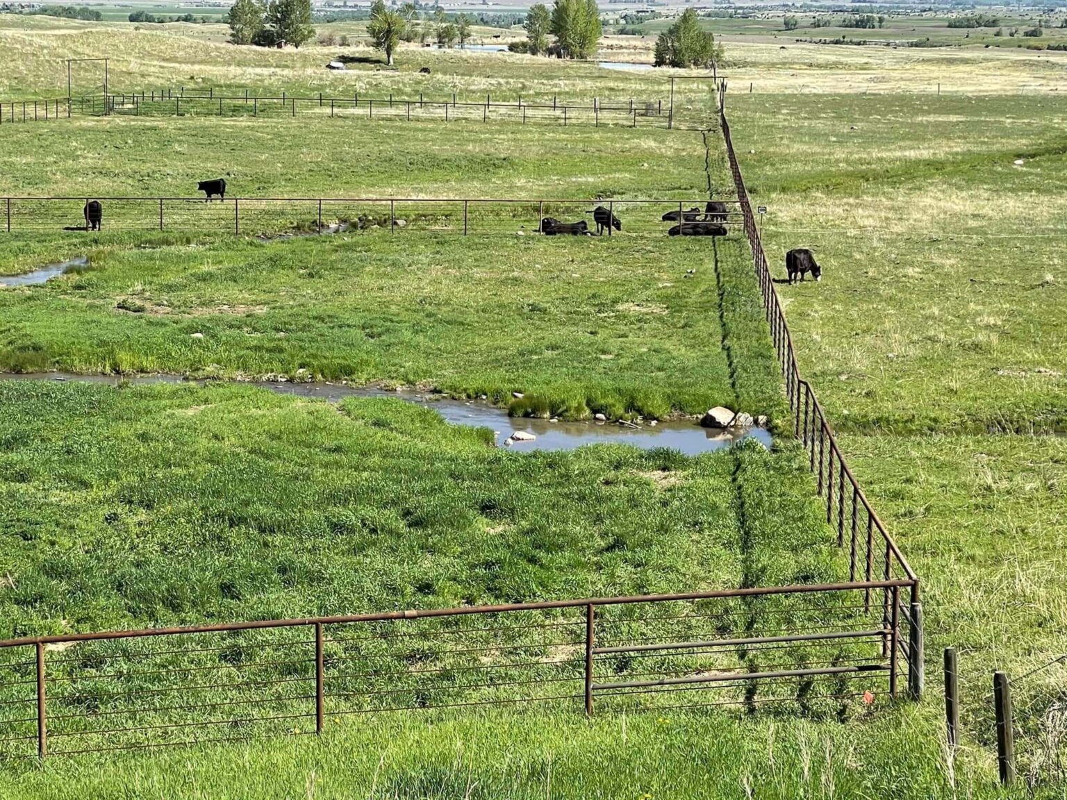 Livestock Fencing - Gateway Arch & Fence