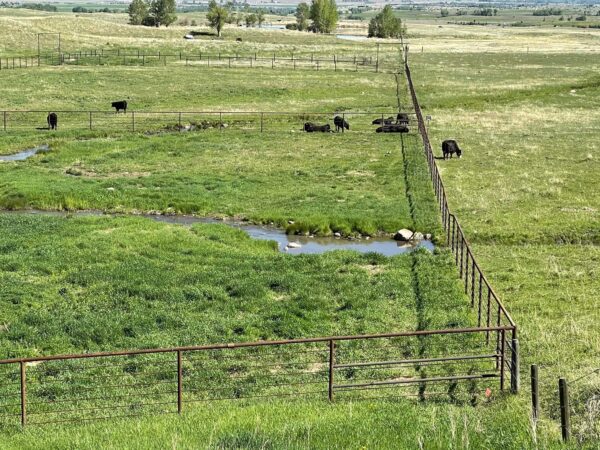 Fencing Products by Montana Fence Builders | Gateway Arch & Fence